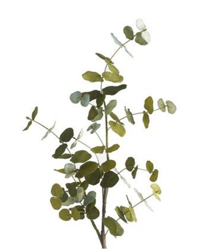 picture-5 : eCommission